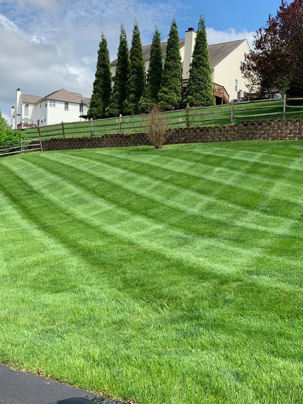 Lawn Management